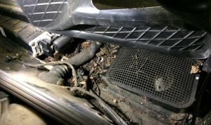 Car Floor Wet Under Mat (Top 5 Causes) - Rustyautos.com