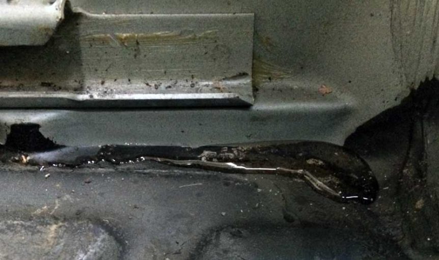 Car Floor Wet Under Mat (Top 5 Causes) - Rustyautos.com
